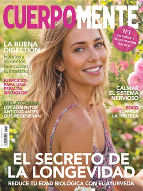 5 recetas de refrescos naturales caseros deliciosos